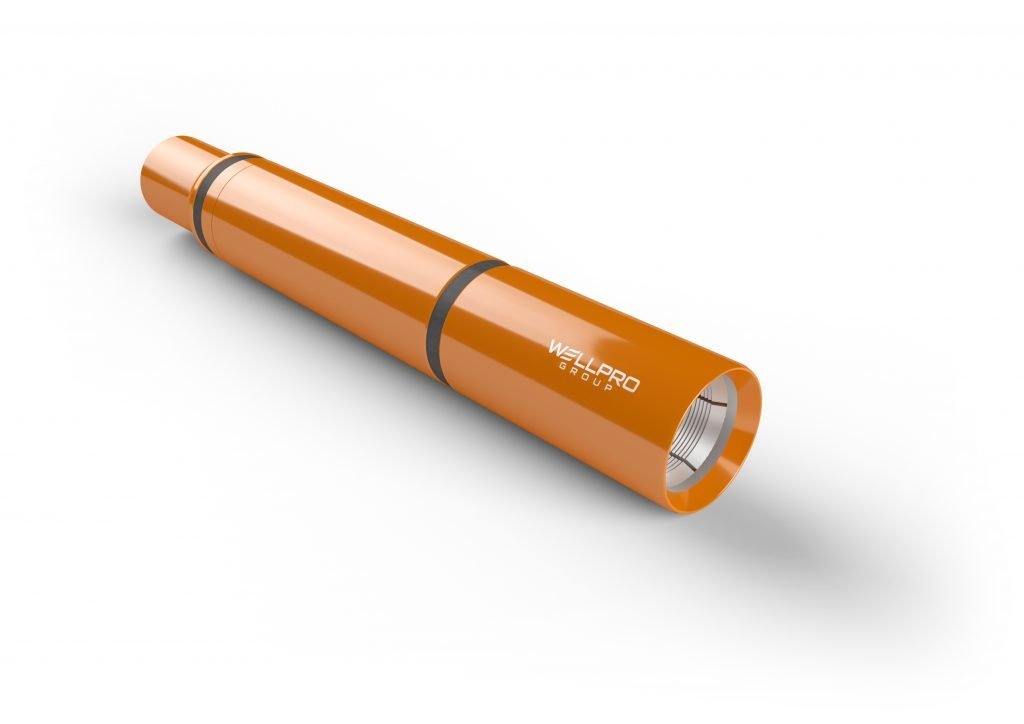 Fishing - Wellpro Group - IPI